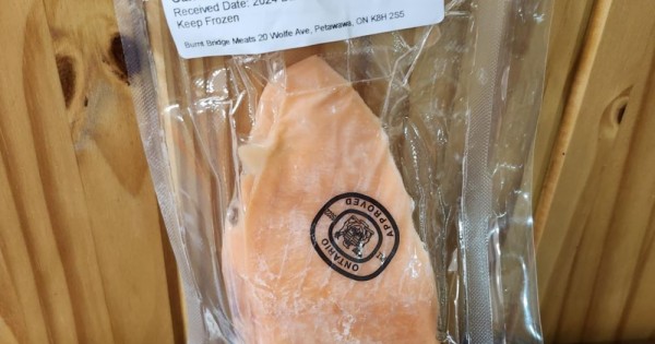 Fish - Salmon - 6 oz